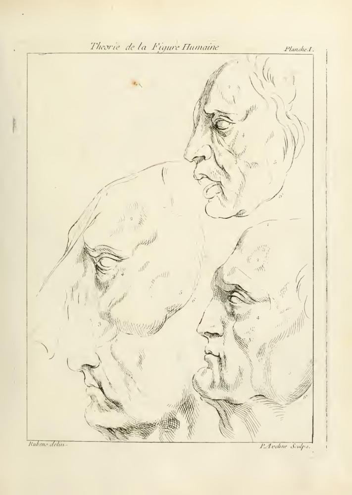 Rubens - Human Figure - Page 68 | Study Drawing