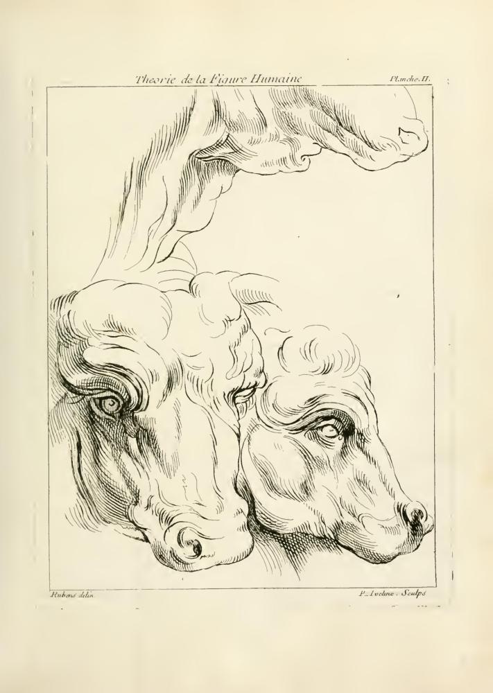 Rubens - Human Figure - Page 69 | Study Drawing