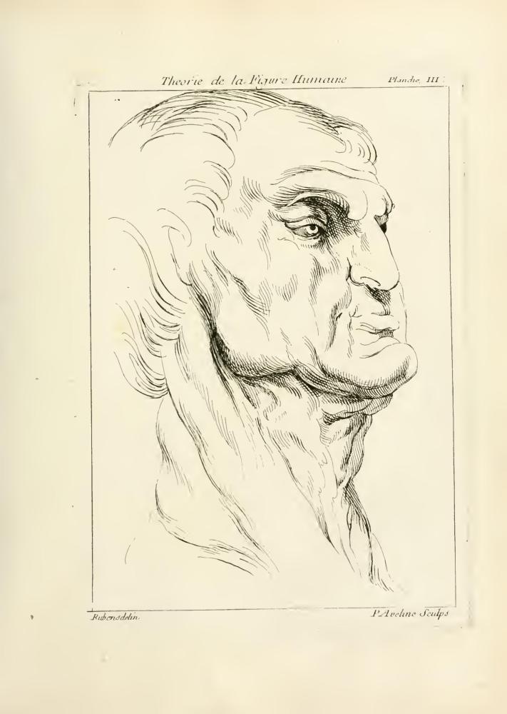 Rubens - Human Figure - Page 70 | Study Drawing